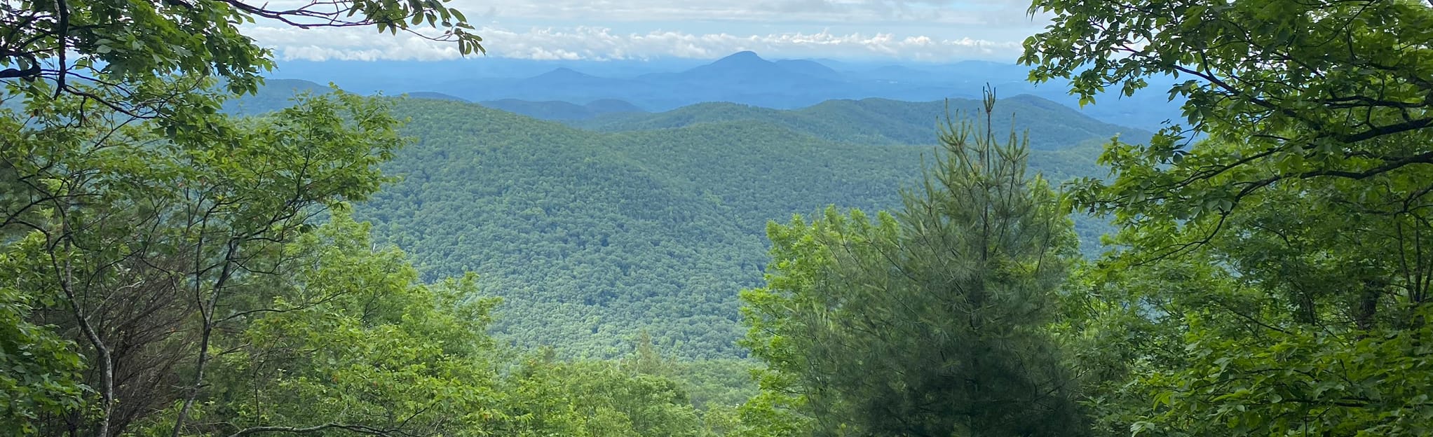 Appalachian Trail: Indian Grave Gap to Rocky Mountain: 49 Reviews, Map ...