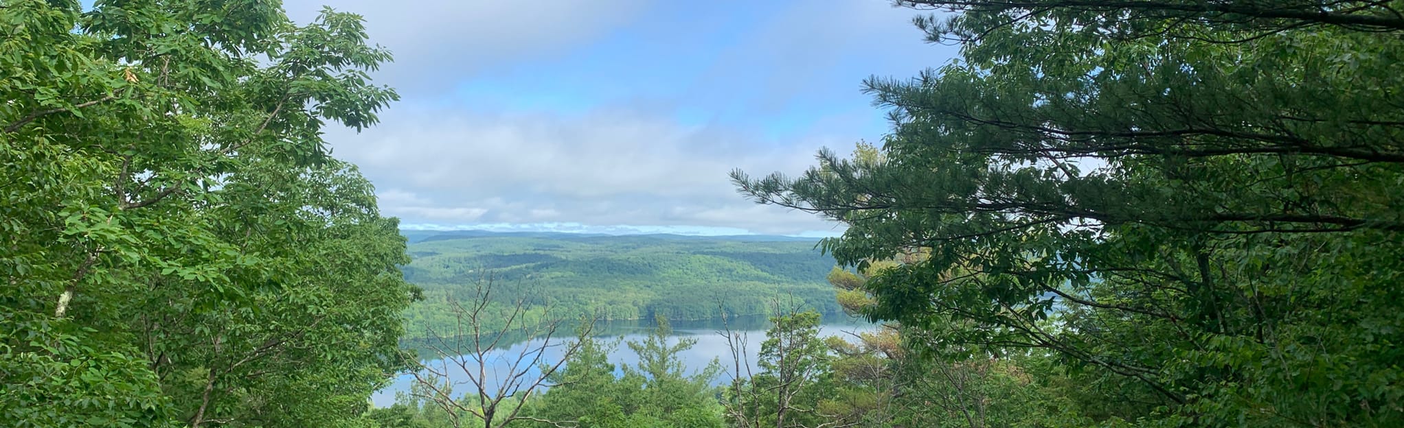 Tunxis Trail: 53 Reviews, Map - Connecticut | AllTrails