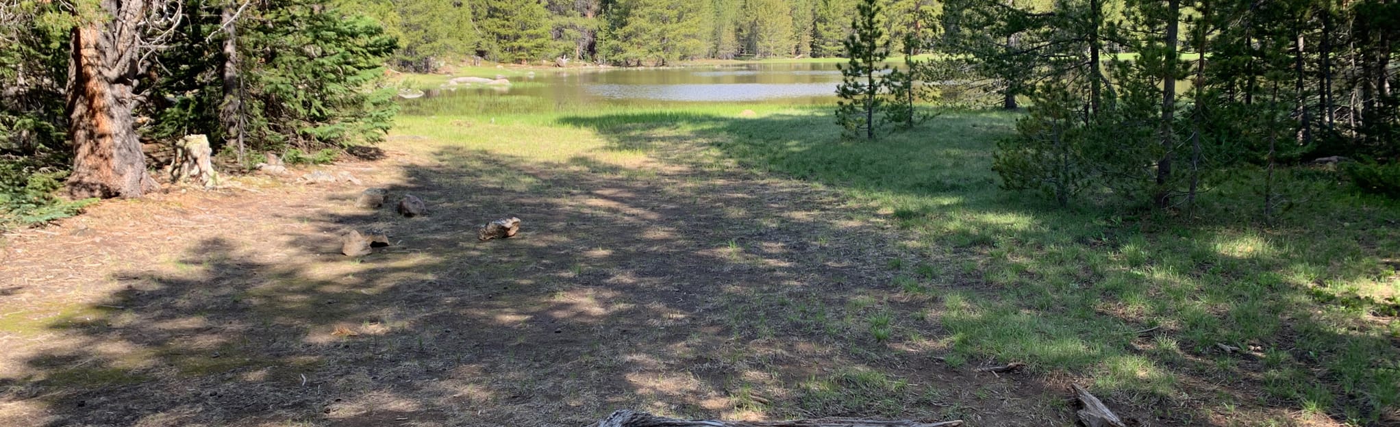 Swamp Lake Trail #1492: 47 Reviews, Map - Colorado | AllTrails