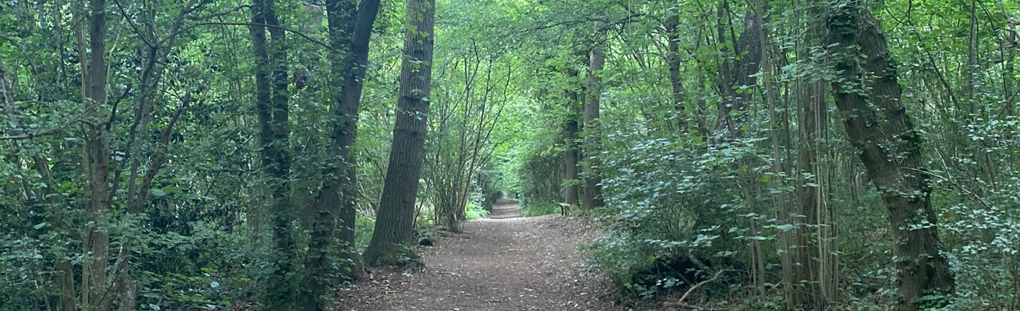 Puplet Wood and Seisdon Wood Circular: 30 Reviews, Map - Surrey ...