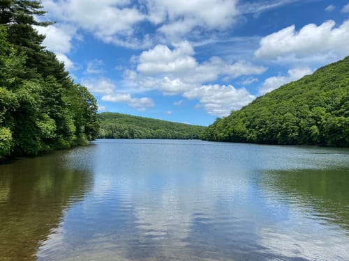 2023 Best trails in Giuffrida Park | AllTrails