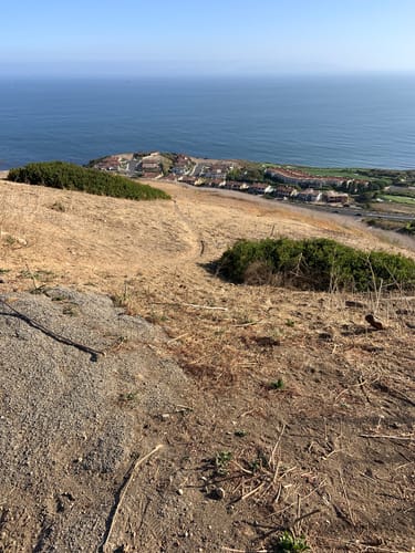 Best Hikes and Trails in San Ramon Reserve | AllTrails