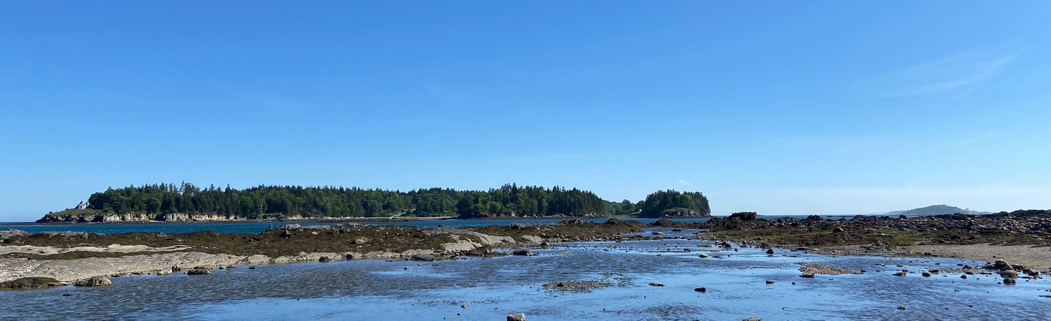 Potts Point Preserve - Maine | AllTrails
