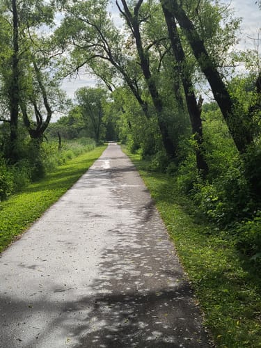 Best Hikes and Trails in Steve Michaud Park | AllTrails