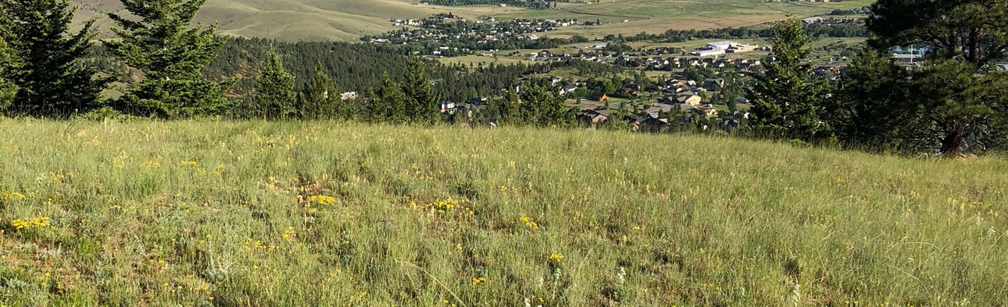 Prairie and 1906 Trail Loop: 304 Reviews, Map - Montana | AllTrails