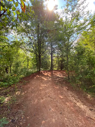 2023 Best Forest Trails in Inman | AllTrails