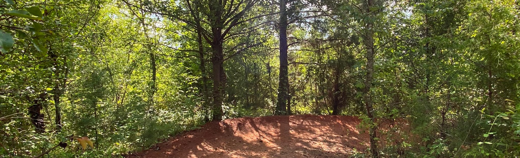 Holston Creek Trail: 233 Reviews, Map - South Carolina | AllTrails