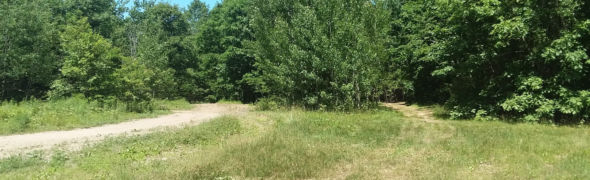 Hudson Town Forest Loop, New Hampshire - 56 Reviews, Map | AllTrails