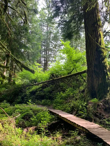 2023 Best 10 Trails and Hikes in Chilliwack | AllTrails