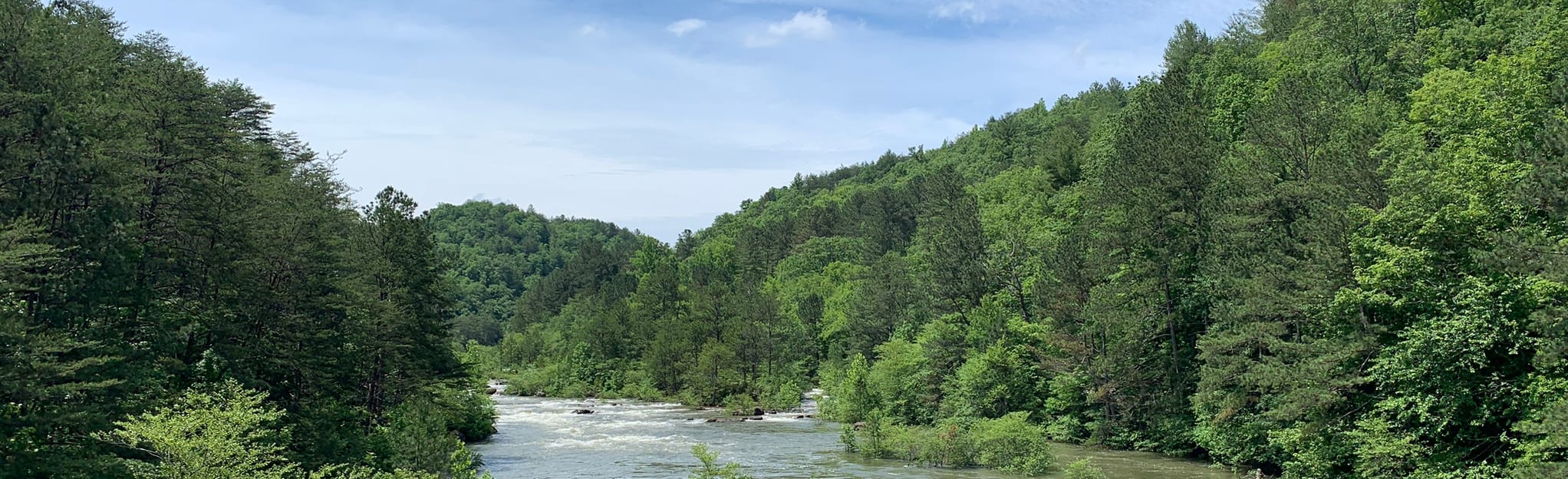 Rock Creek Trail | Map, Guide - Tennessee | AllTrails