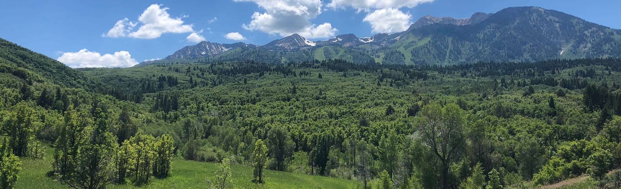 Wheeler Creek, Upper Wheeler Creek and Icebox Canyon Loop, Utah - 1,504 ...