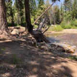 Fordyce Jeep Trail, California - 75 Reviews, Map | AllTrails