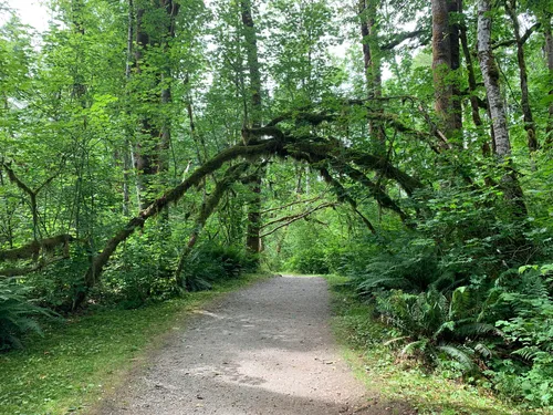 10 Best Trails and Hikes in Maple Ridge | AllTrails