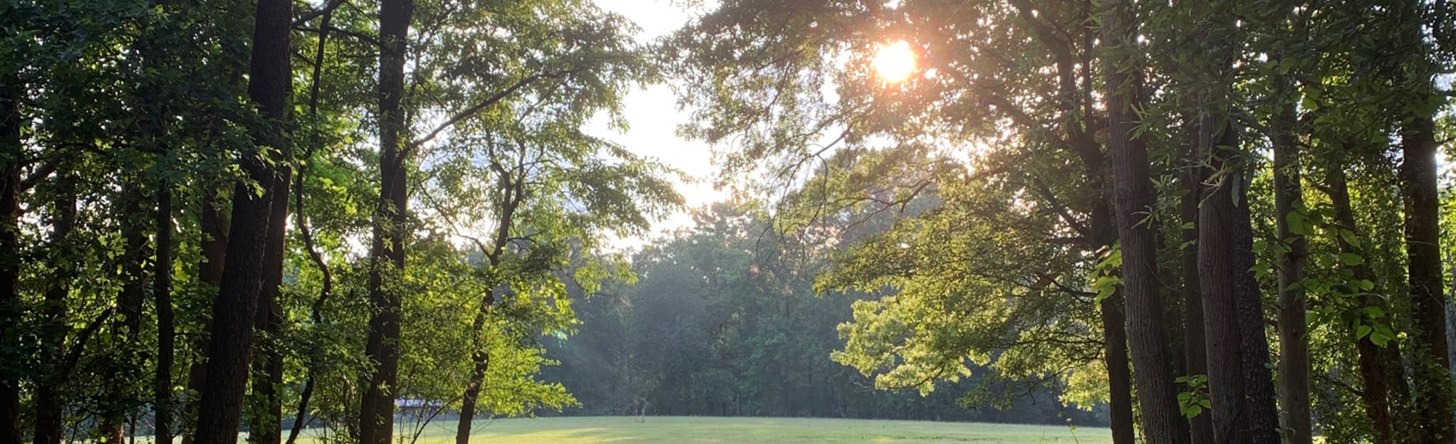 Azalea Trail: 105 Reviews, Map - Maryland | AllTrails