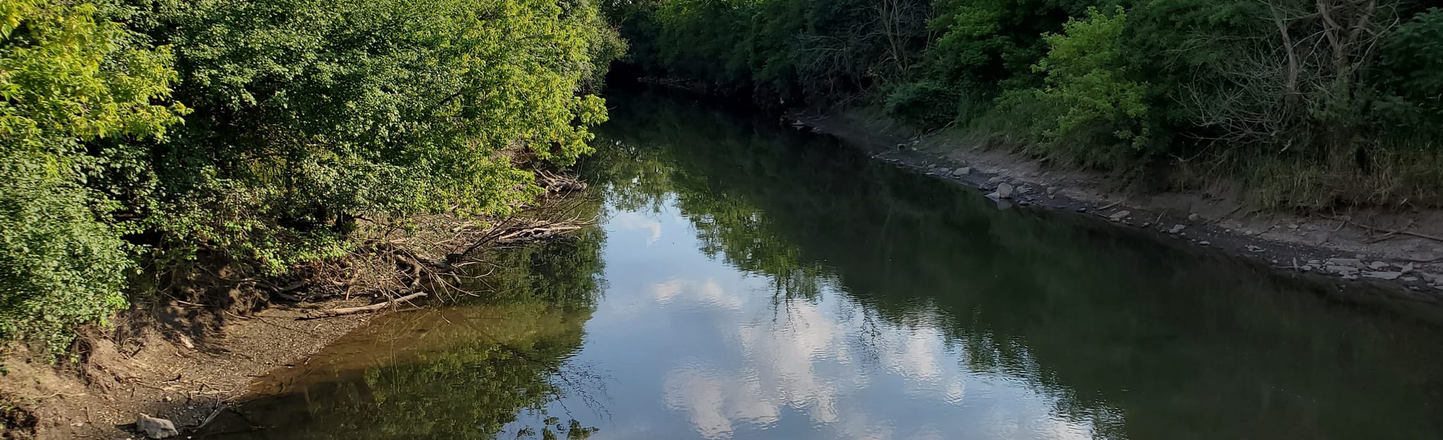 Salt Creek Greenway Trail, Illinois - 131 Reviews, Map | AllTrails