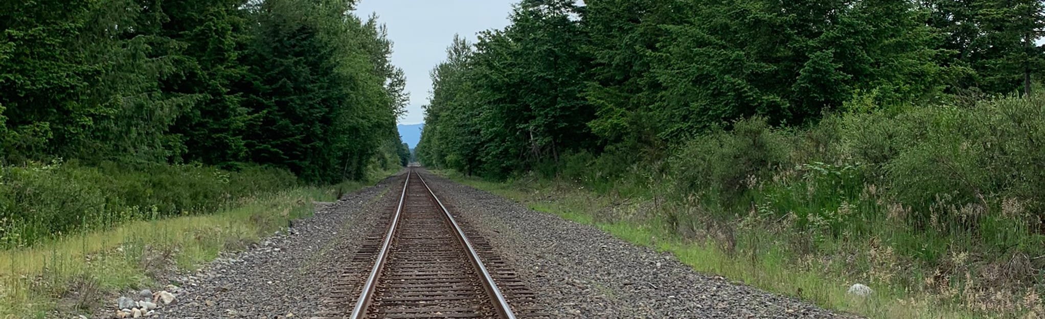 Real Life, Lumberjack, Powerlines, and Highway to Heaven Loop: 19 ...