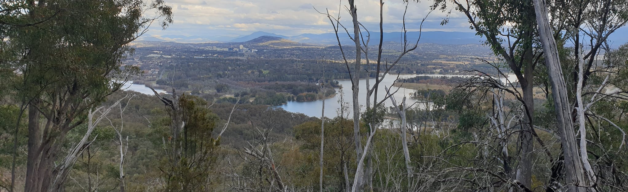 Black Mountain from Aranda: 30 Reviews, Map - Australian Capital ...