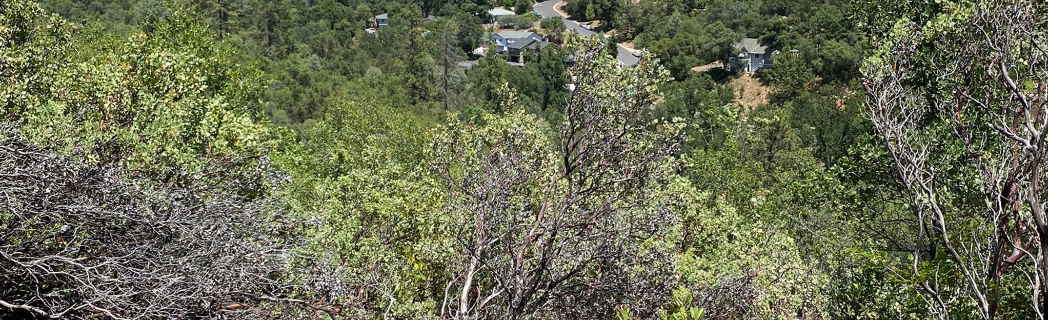 Dragoon Gulch Trail, California - 843 Reviews, Map | AllTrails