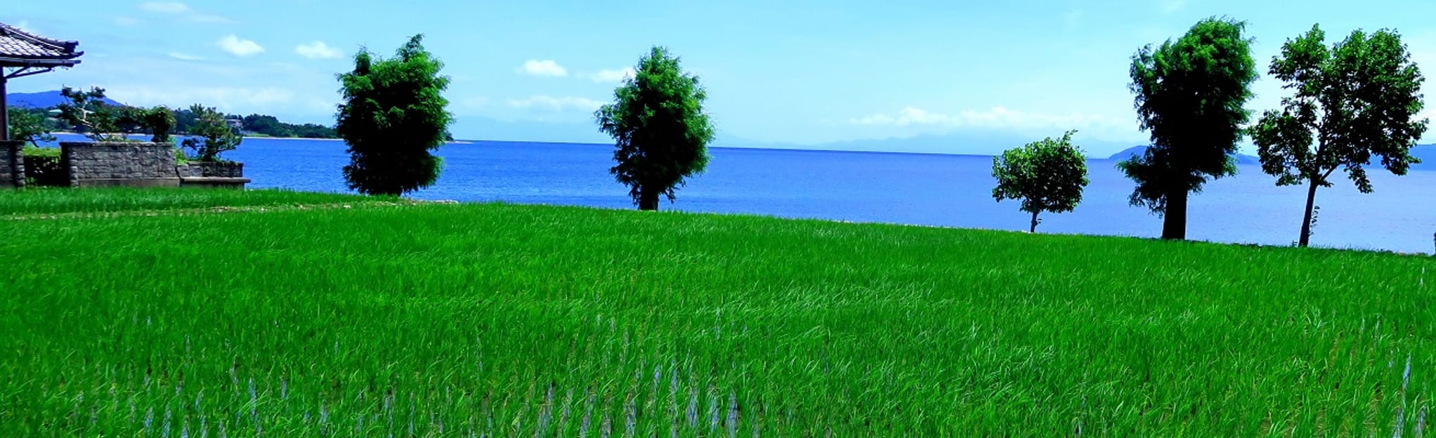 West Lake Biwa Walk: Horai - Omi-Maiko: 3 Reviews, Map - Shiga, Japan ...
