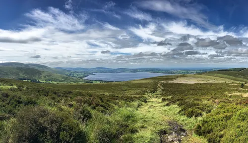 Best Hikes and Trails in Saggart Woods | AllTrails