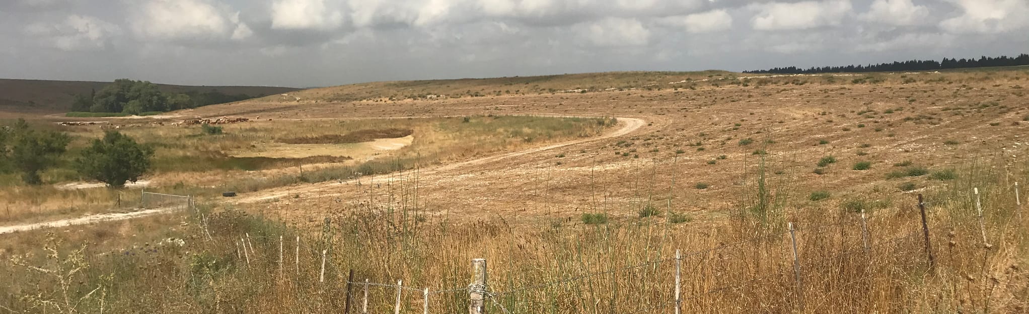 Ein HaShofet to Oren Zamir Park, Northern District HaZafon, Israel - 2 ...