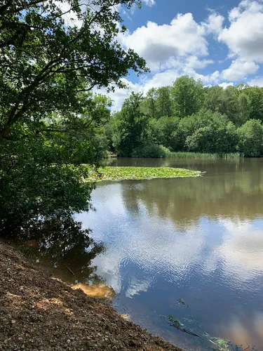 2023 Best 10 Trails, Walks, and Paths in Reading | AllTrails