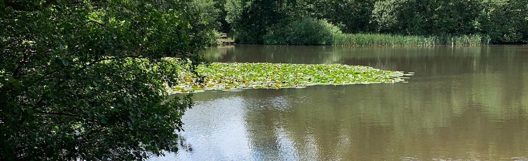 Benyon's Enclosure: 53 foto - Berkshire, Inghilterra | AllTrails