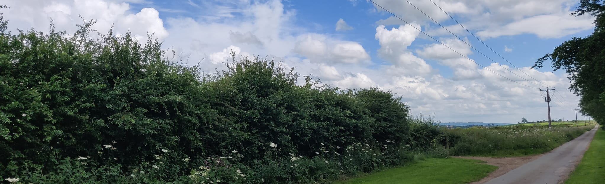 Terrington Mowthorpe Lane, North Yorkshire, England - 17 Reviews, Map ...