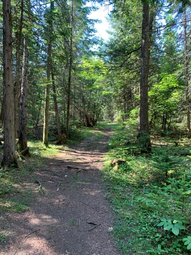 2023 Best 10 Trails, Walks, and Paths in Douro-Dummer | AllTrails