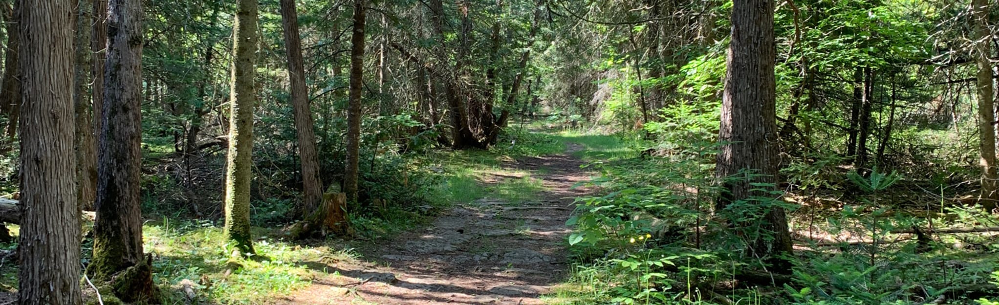 Warsaw Caves Limestone Plains Trail, Ontario, Canada - 65 Reviews, Map ...