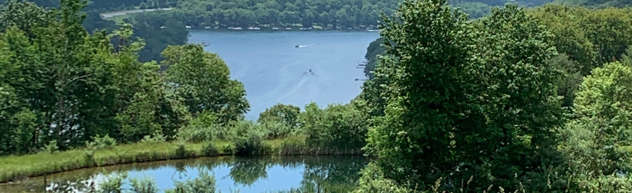 Wisp Ski Resort Trail: 78 Reviews, 30 Photos, Map - Maryland | AllTrails