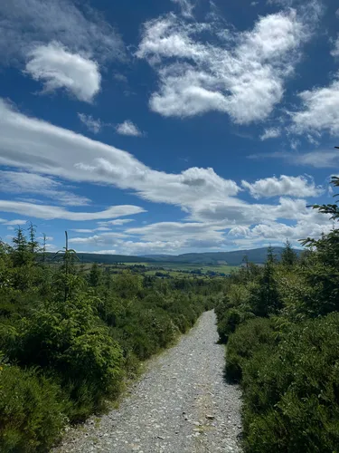 Best Hikes and Trails in Saggart Woods | AllTrails