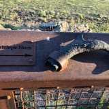 Gold Digger Trail to Two Spot Trail Loop, Arizona - 195 Reviews, Map ...