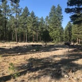 Gold Digger Trail to Two Spot Trail Loop, Arizona - 195 Reviews, Map ...