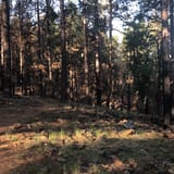 Gold Digger Trail to Two Spot Trail Loop, Arizona - 195 Reviews, Map ...