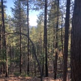 Gold Digger Trail to Two Spot Trail Loop, Arizona - 195 Reviews, Map ...