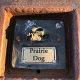 Gold Digger Trail to Two Spot Trail Loop, Arizona - 195 Reviews, Map ...