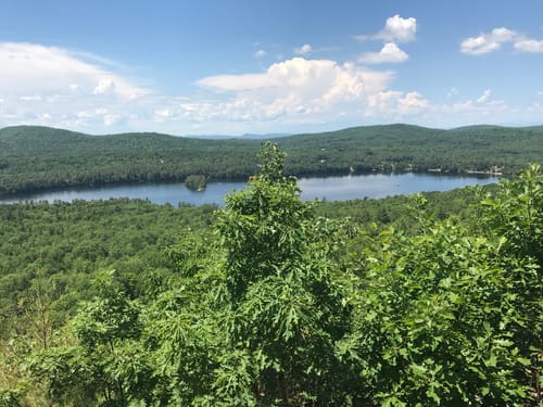 Best Hikes and Trails in Raymond Community Forest | AllTrails