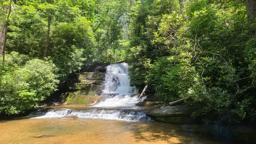 Best River Trails in Tiger | AllTrails