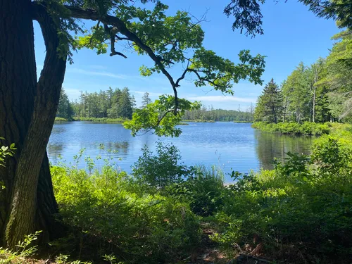 Best Waterfall Trails in Tully Lake Recreation Area | AllTrails