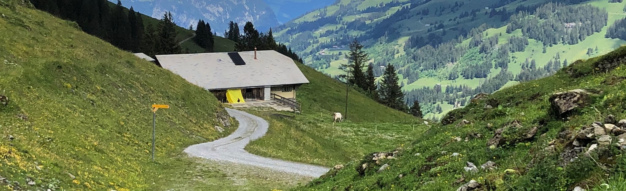 Diemtigtal - Wiriehorn - Nüegg, Bern, Switzerland - Map, Guide | AllTrails Diemtigtal - Wiriehorn - Nüegg, Bern, Switzerland - Map, Guide | AllTrails