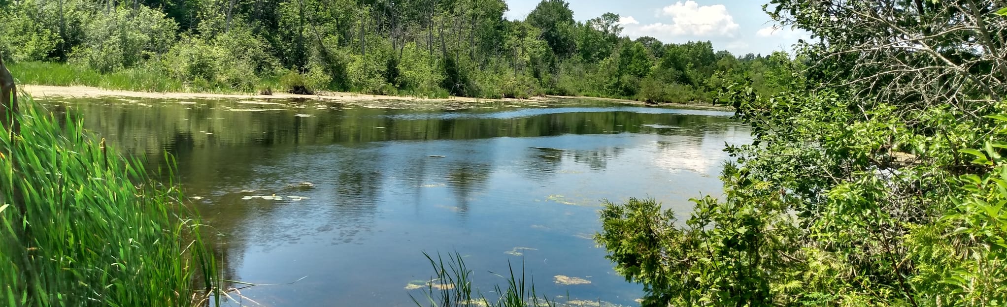 Windy Ridge Conservation Area, Ontario, Canada - 93 Reviews, Map ...