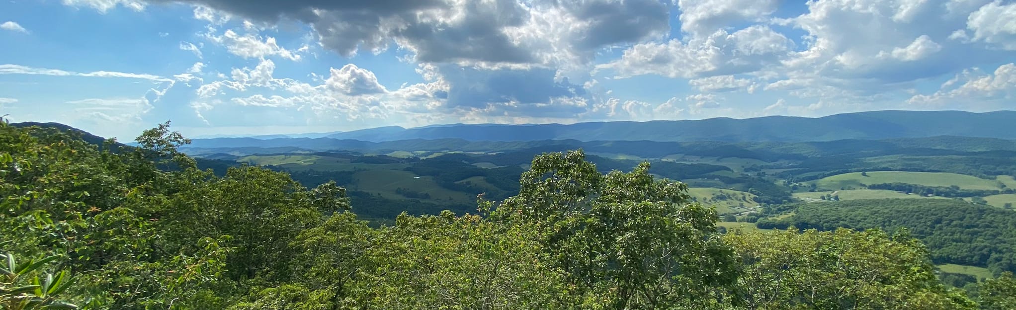 Walker Mountain Trail, Virginia - 12 Reviews, Map | AllTrails