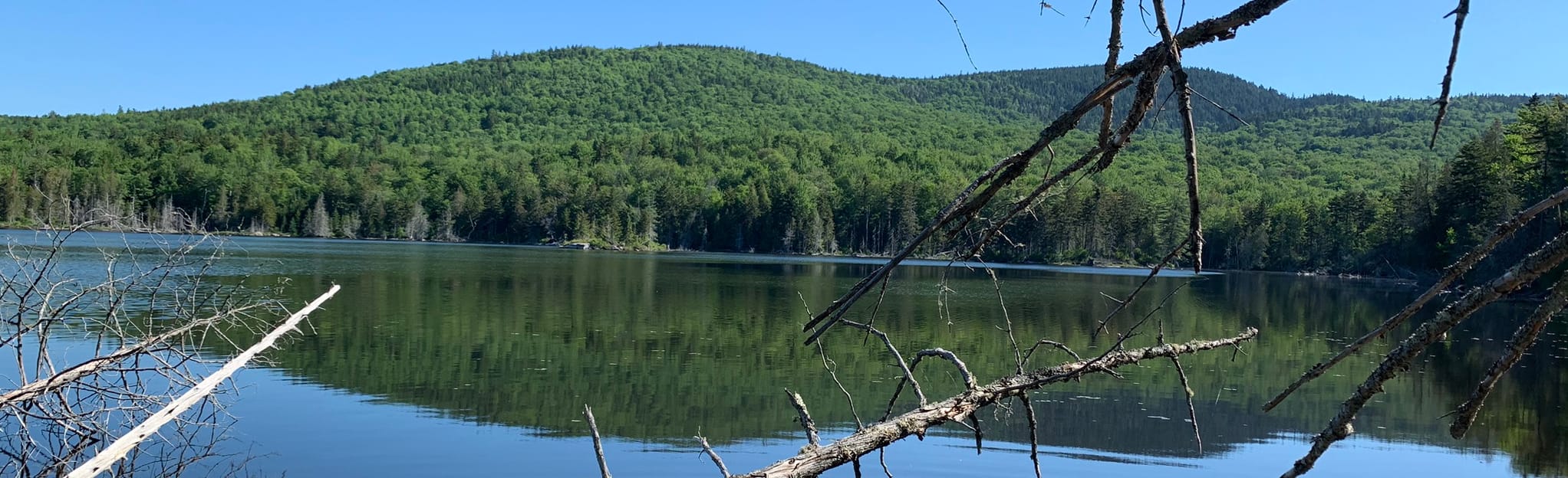 Beaver Pond Trail: 9 Reviews, Map - Vermont | AllTrails