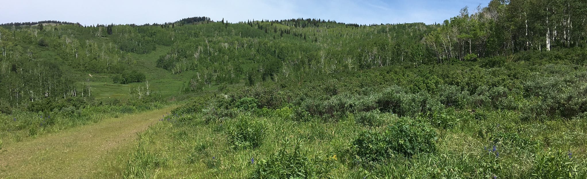 Twin Creek, Bubble Spring, and Bear Hollow, Utah - 10 Reviews, Map ...