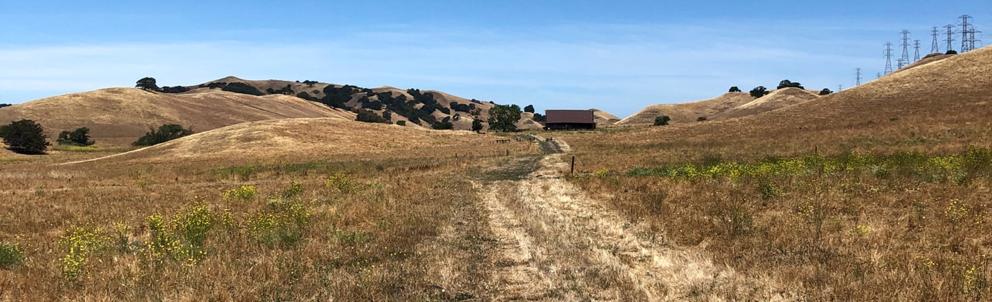 Pinole Ridge to Pinole Valley Loop: 99 Reviews, Map - California ...