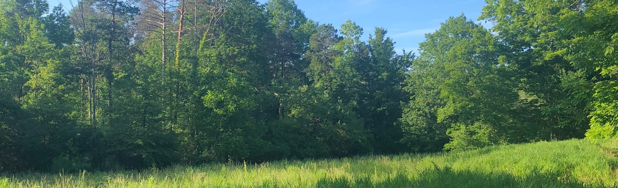 North Chagrin Bridle Trail Loop, Ohio - 222 Reviews, Map | AllTrails