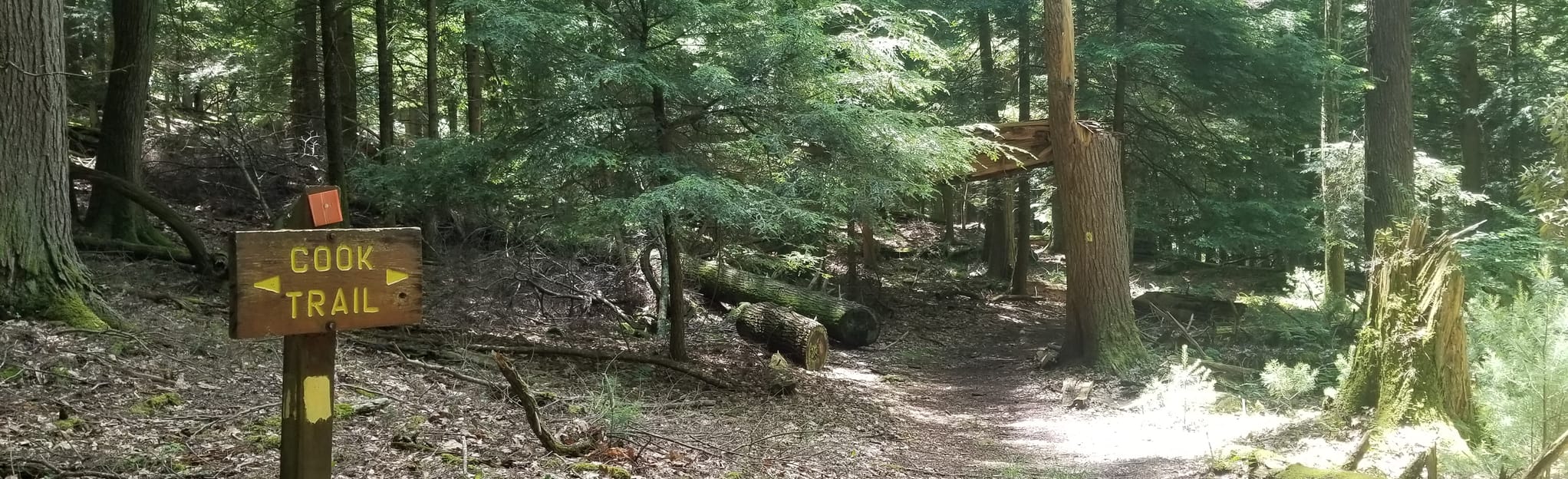Cook Trail: 135 Reviews, Map - Pennsylvania | AllTrails