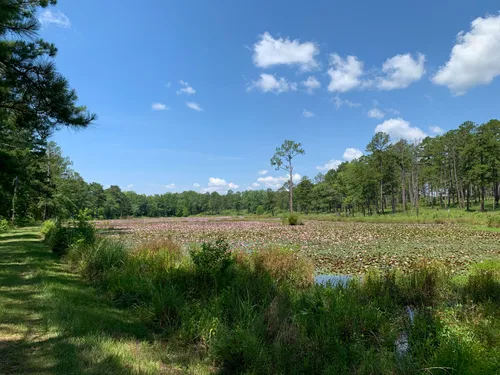 Best Hikes and Trails in Forever Wild Wehle Tract Nature Preserve and ...