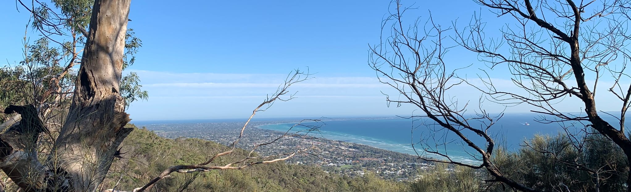Rosebud to Arthurs Seat via Bay Trail and Two Bays Walking Track: 43 ...
